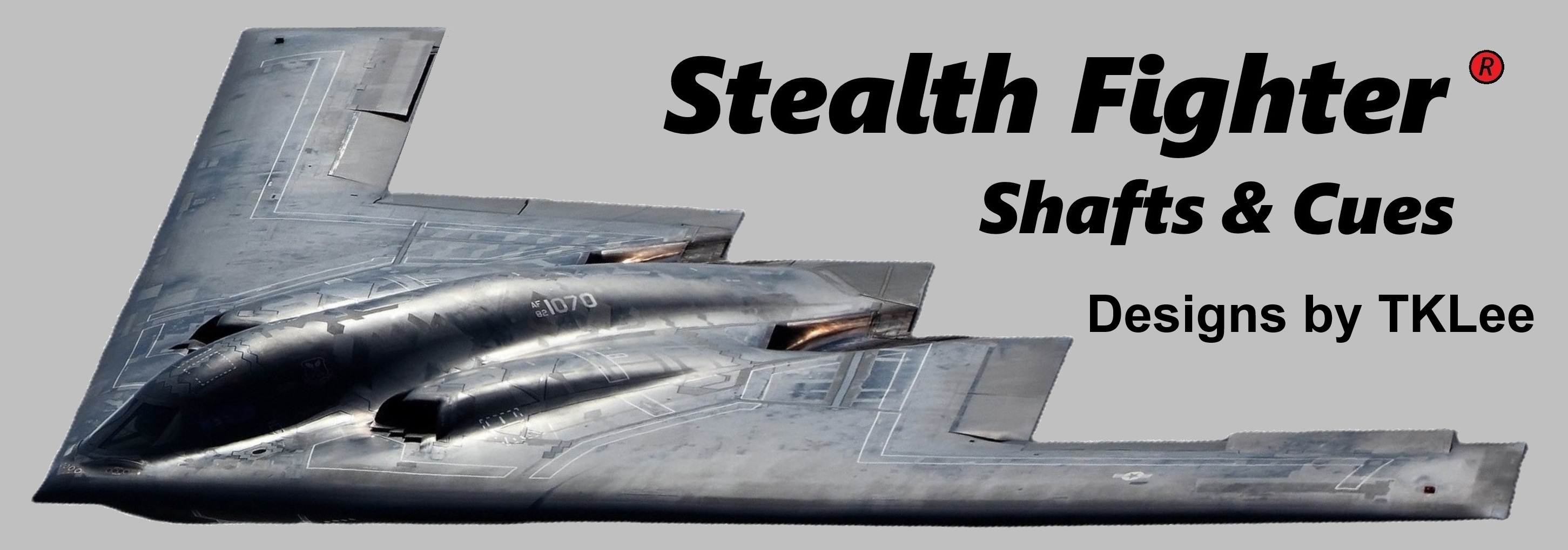 Stealth Fighter